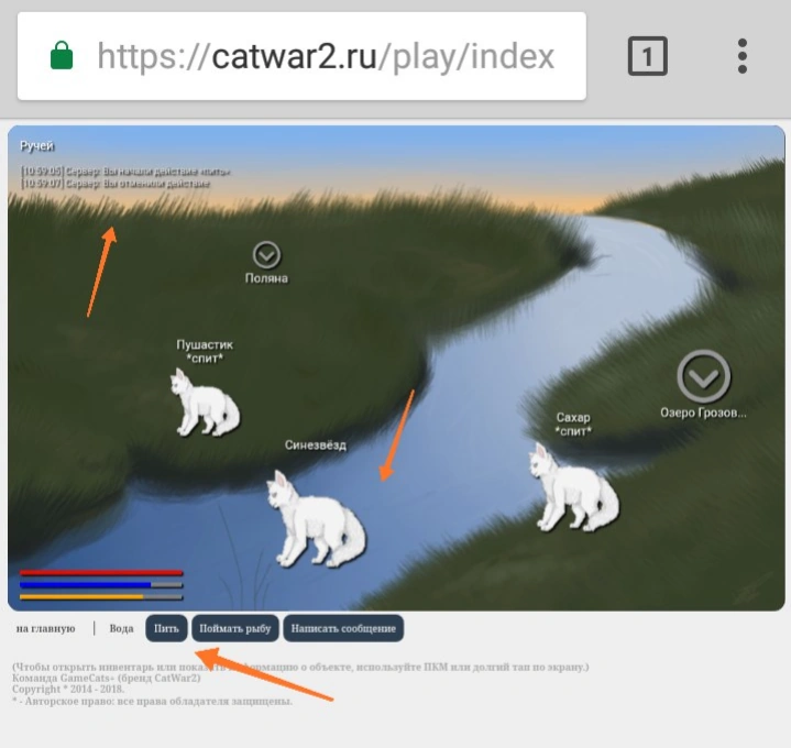 CatLIFE | CatLIFE Stories | Fandom