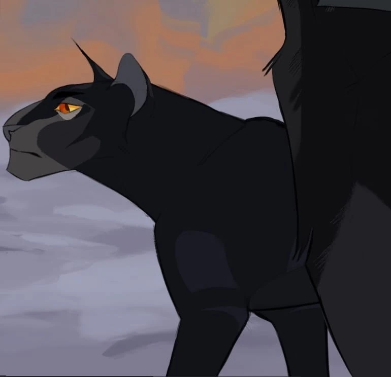 Мрак | CatLIFE Stories | Fandom