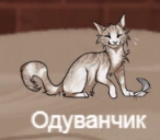 Одуванчик | CatLIFE Вики | Fandom