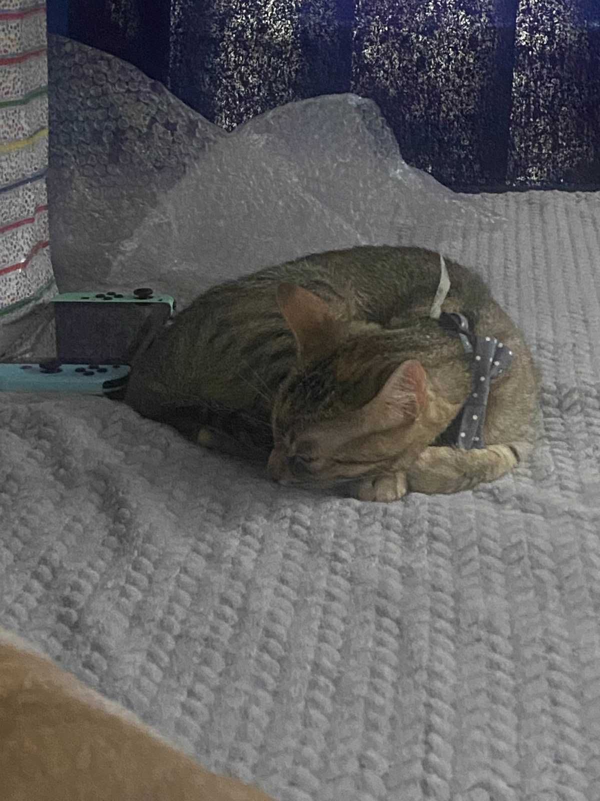 Whisker | Caton Cat Empire Wiki | Fandom