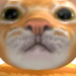 1catmaster13 | Caton Cat Empire Wiki | Fandom