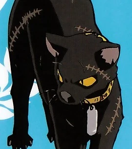 Gekko | Cat Paradise Wiki | Fandom