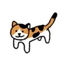 Mango | Cats Are Cute Wiki | Fandom