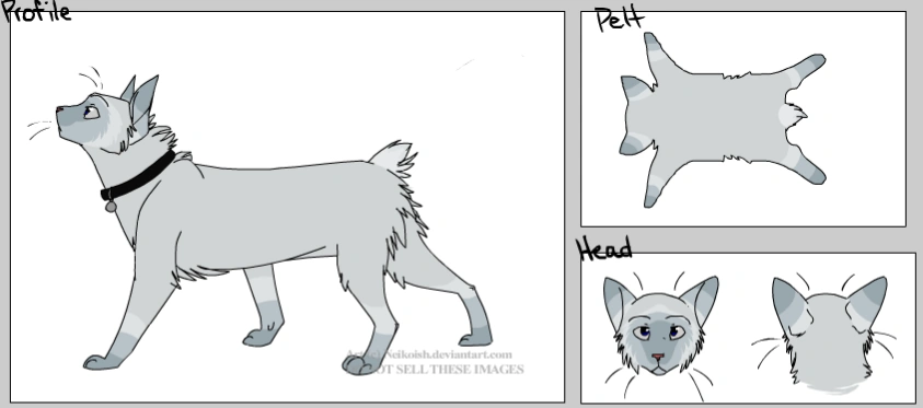 Windy (KT) | Cats of The Clans (OC) Wiki | Fandom