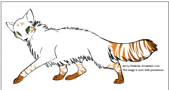 Cloudface (LC) | Cats of The Clans (OC) Wiki | Fandom