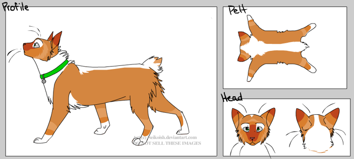 Rust | Cats of The Clans (OC) Wiki | Fandom