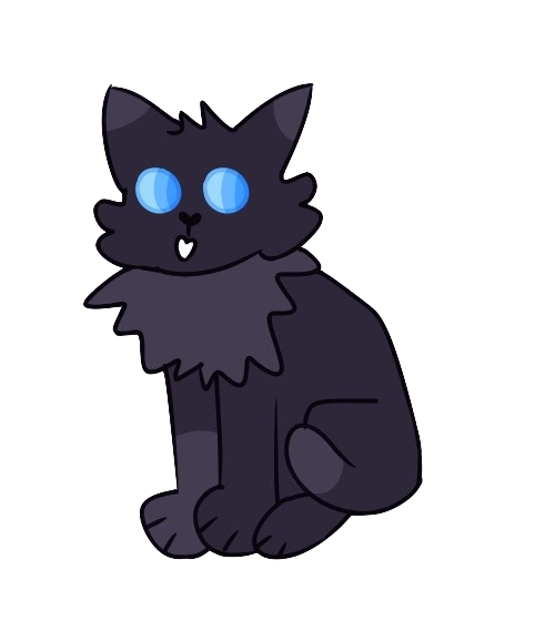 Midnight | Cats of the Island Cats Wiki | Fandom