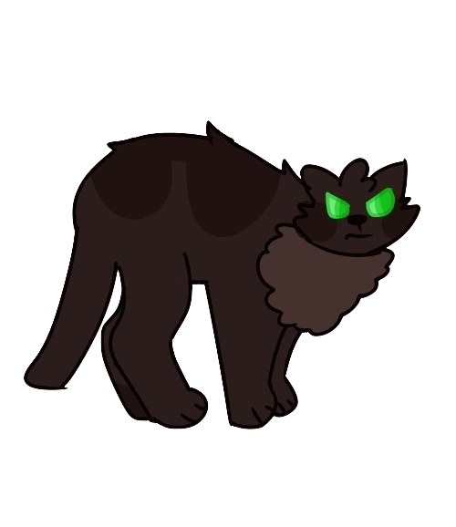 Spruce | Cats of the Island Cats Wiki | Fandom