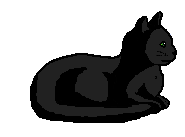 Nightdusk (LCD) | Cats Of The Wild Wiki | Fandom