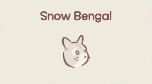 Snow Bengal Photo Gallery | Cats & Soup Wiki | Fandom
