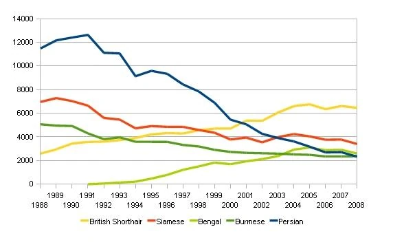 Governing Council of the Cat Fancy | Cats Wiki | Fandom