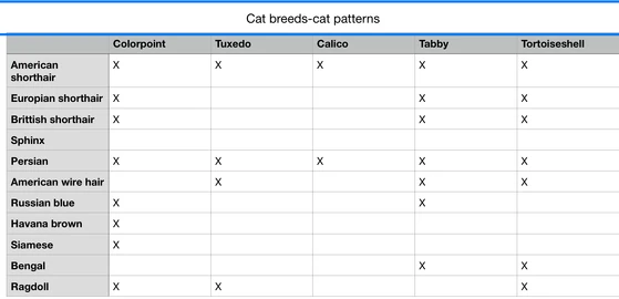 Most common cat patterns | Cats Wiki | Fandom