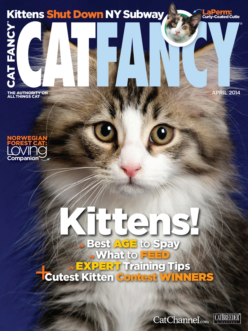 Cat Fancy (magazine) | Cats Wiki | Fandom