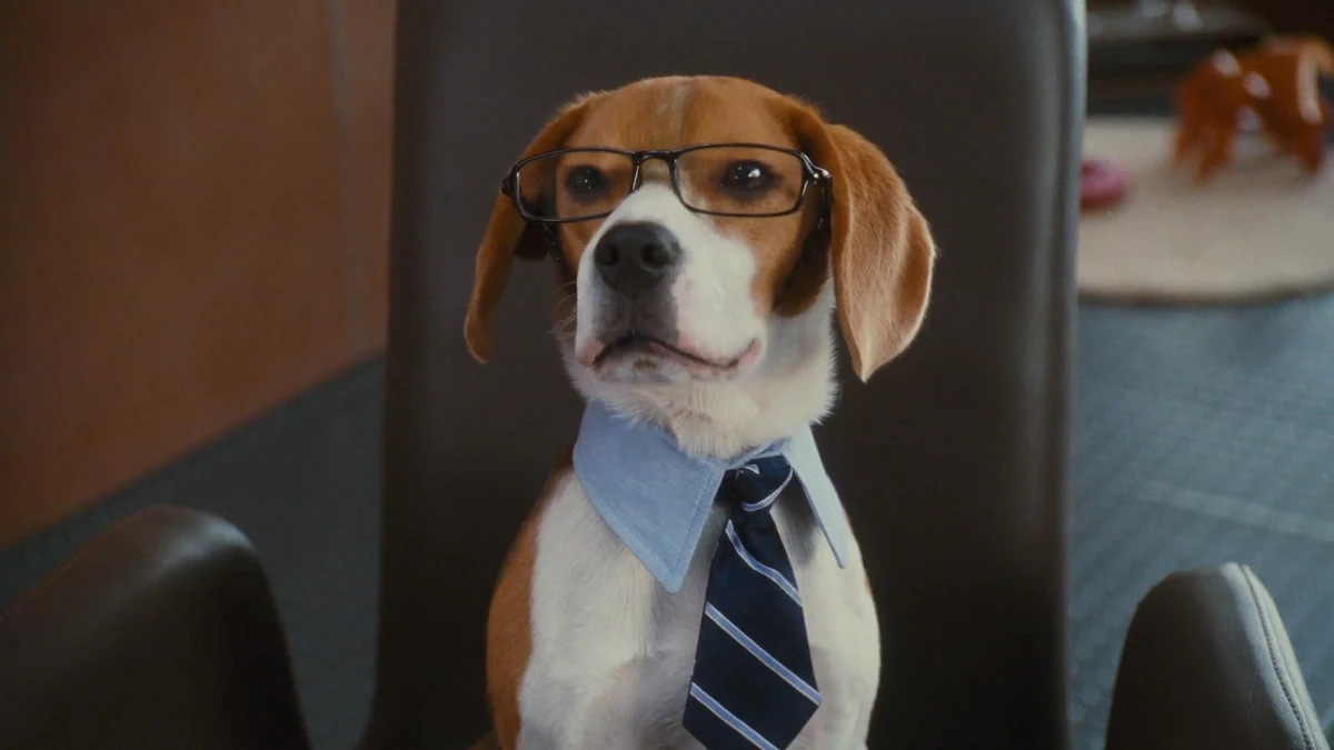 Lou | Cats and Dogs Wiki | Fandom