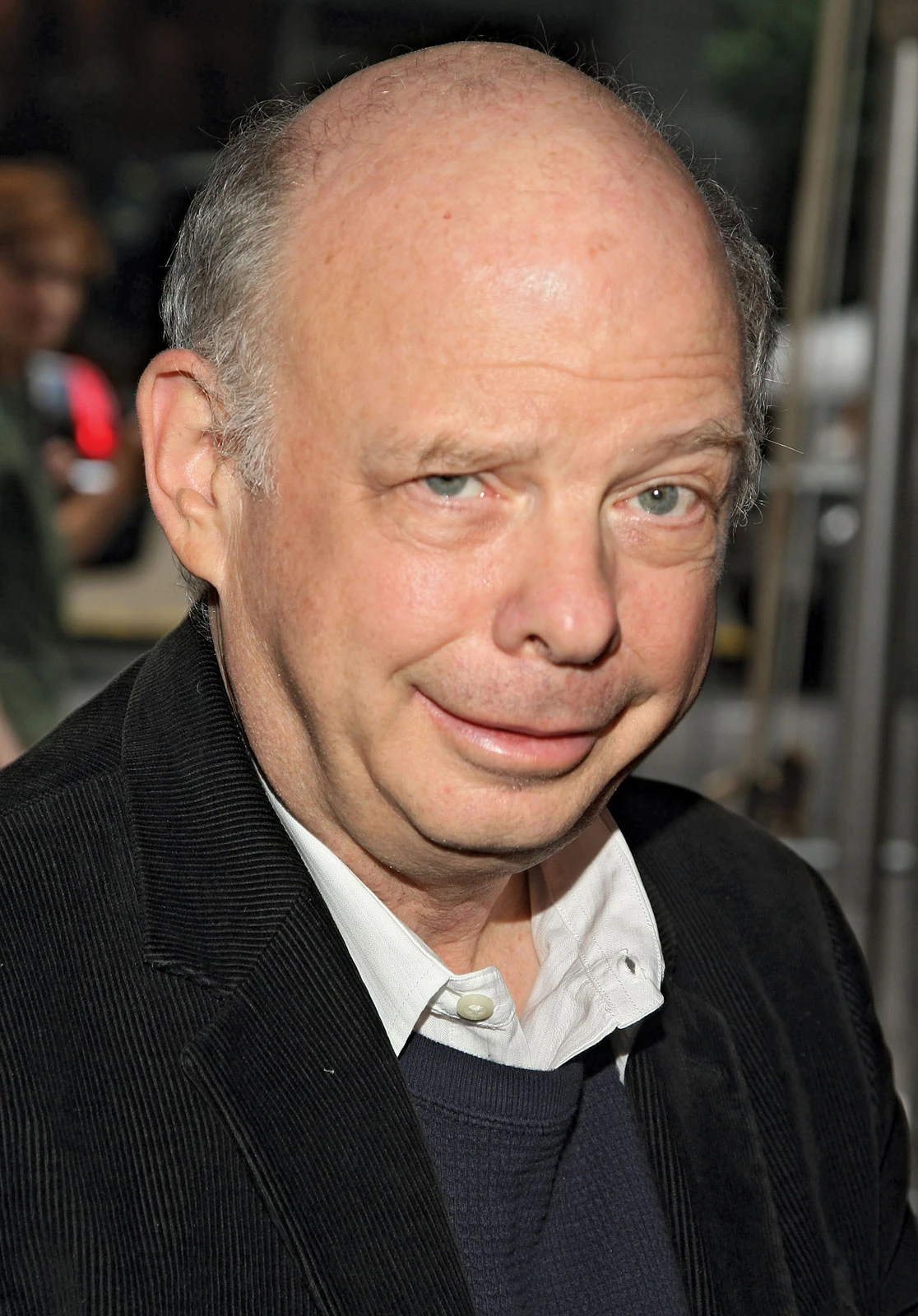 Wallace Shawn | Cats and Dogs Wiki | Fandom