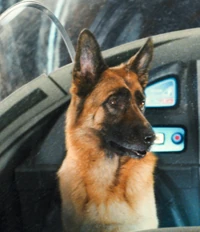 Diggs | Cats & Dogs Wiki | Fandom