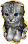 Cute Cat | CatSimulator 2015 Wiki | Fandom