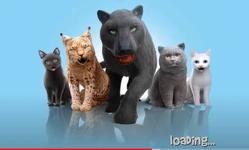 Cat Simulator 2015 | CatSimulator 2015 Wiki | Fandom