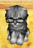 Professor | CatSimulator 2015 Wiki | Fandom