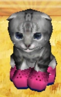 Crocodile | CatSimulator 2015 Wiki | Fandom