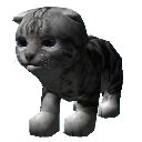 Cute Cat | CatSimulator 2015 Wiki | Fandom