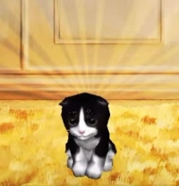 Black n White | CatSimulator 2015 Wiki | Fandom