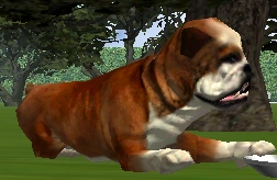 Garden 2 Dog | CatSimulator 2015 Wiki | Fandom