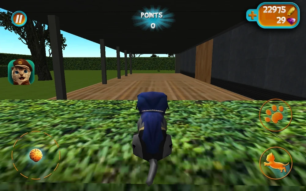 Garden 4 | CatSimulator 2015 Wiki | Fandom