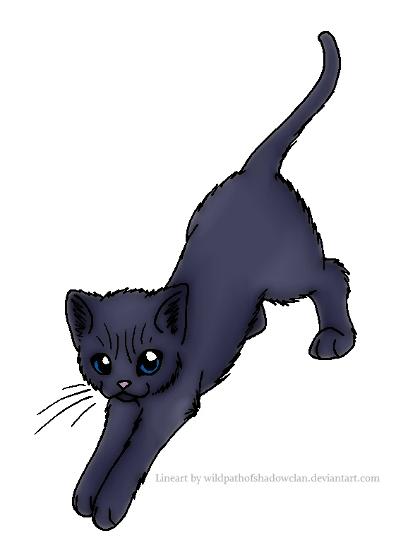 Bluestar | Cats in the Shadows Wiki | Fandom
