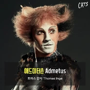 Admetus | 'Cats' Musical Wiki | Fandom
