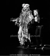 Wayne Sleep | 'Cats' Musical Wiki | Fandom