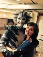 Jo Gibb | 'Cats' Musical Wiki | Fandom