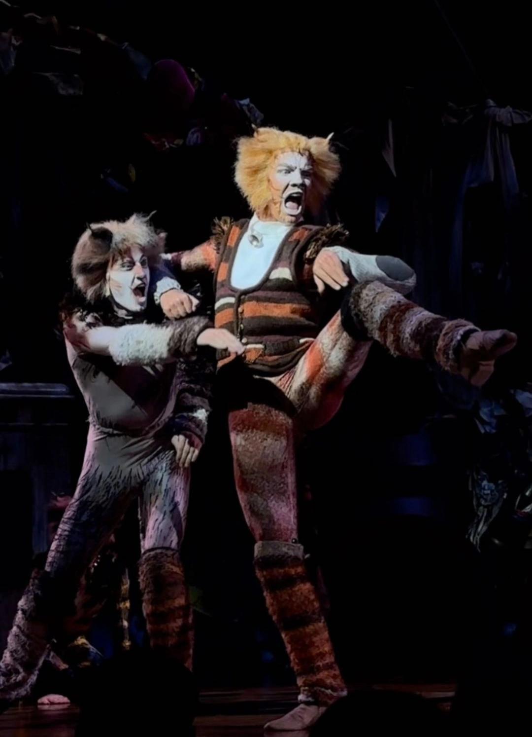 Thomas Alsop | 'Cats' Musical Wiki | Fandom