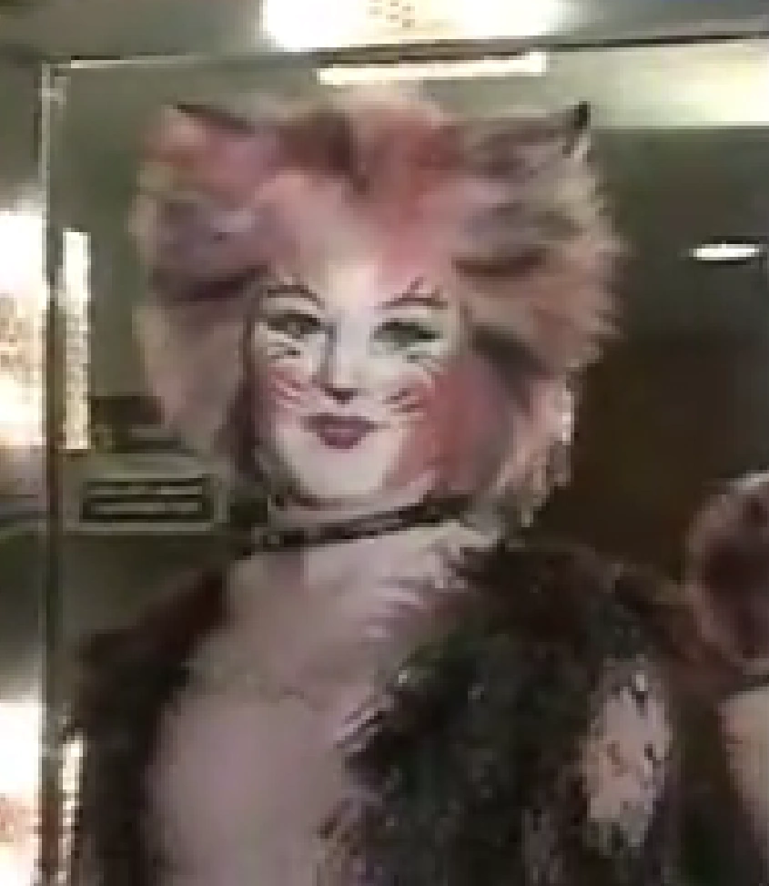 Carolyn Joanne Ockert | 'Cats' Musical Wiki | Fandom
