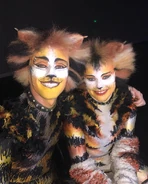Liam Buckland | 'Cats' Musical Wiki | Fandom