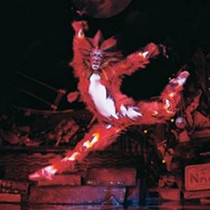 Callum Nicol | 'Cats' Musical Wiki | Fandom