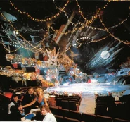 Broadway Production/Gallery | 'Cats' Musical Wiki | Fandom