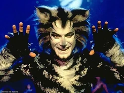 Michael Gruber Michael Gruber | 'Cats' Musical Wiki | Fandom