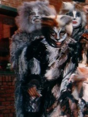 Jamie Patterson | 'Cats' Musical Wiki | Fandom
