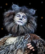 Rory Six | 'Cats' Musical Wiki | Fandom