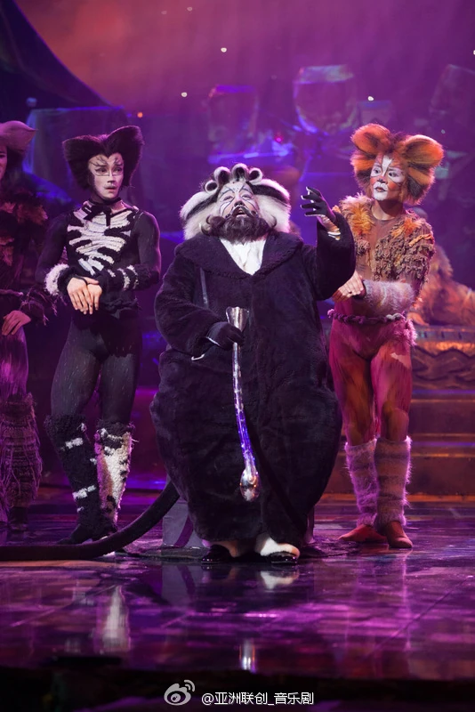Bustopher Jones (song)/Chinese | 'Cats' Musical Wiki | Fandom
