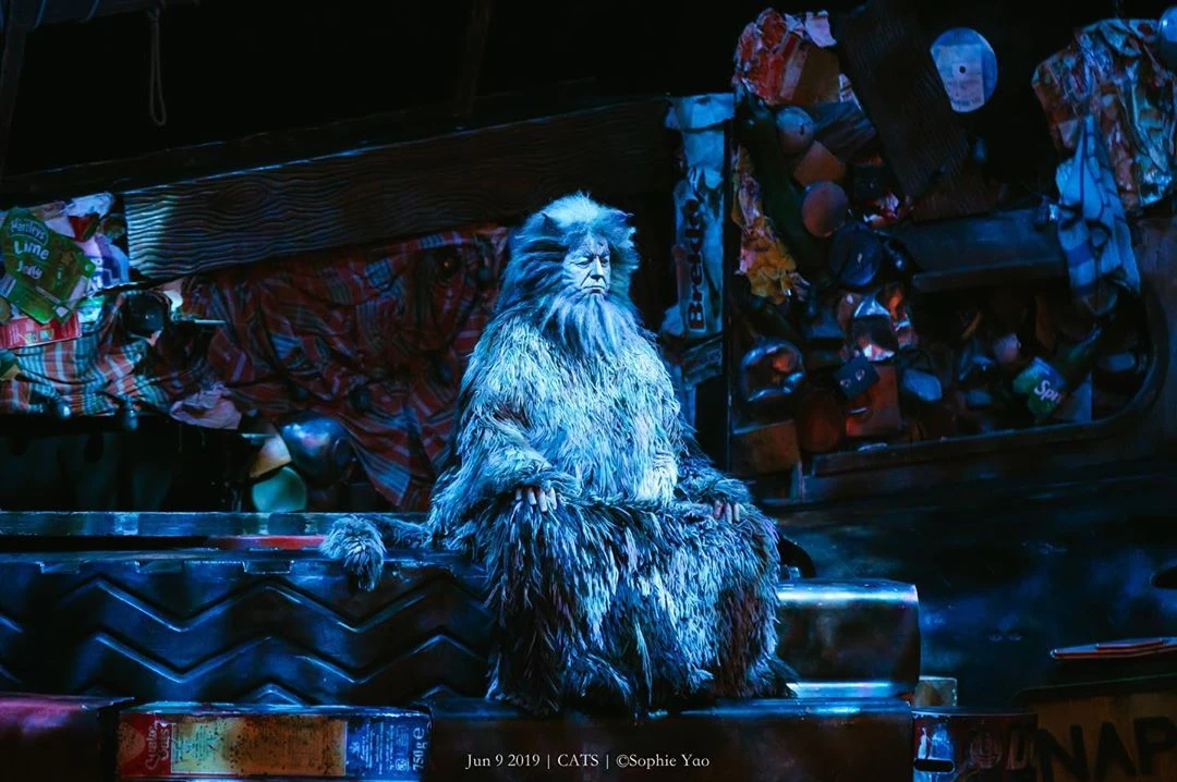 Intermission | 'Cats' Musical Wiki | Fandom