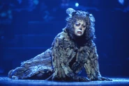 Memory | 'Cats' Musical Wiki | Fandom
