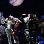 Jellicle Ball | 'Cats' Musical Wiki | Fandom