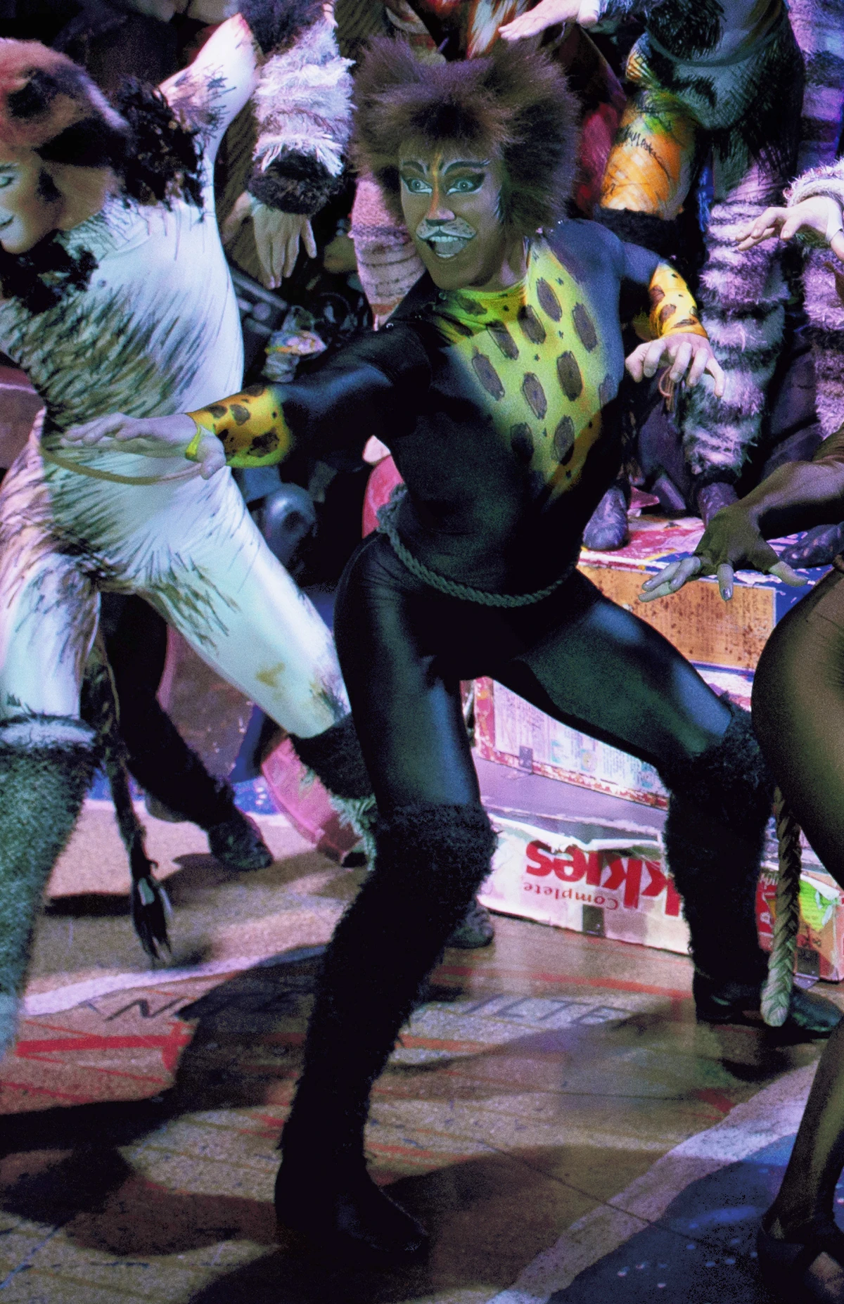 UK Tour 2016/Gallery 2017 | 'Cats' Musical Wiki | Fandom