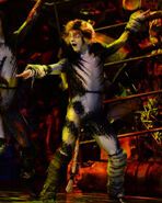 UK Tour 2013/Gallery 2014 | 'Cats' Musical Wiki | Fandom