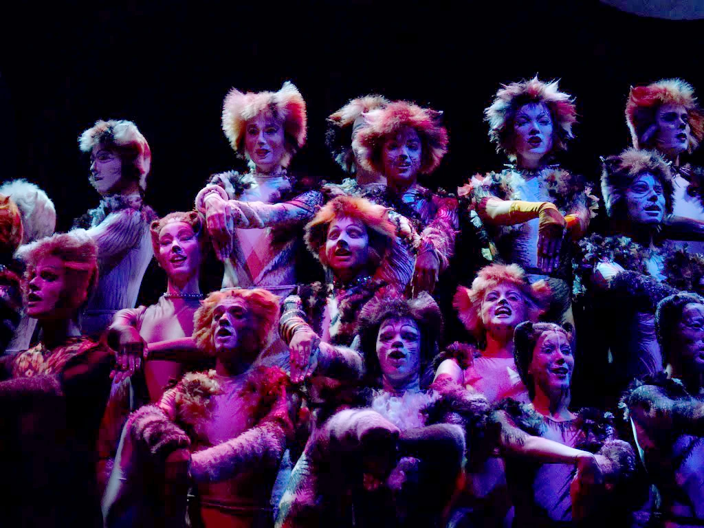 Jellicle Songs for Jellicle Cats/Portuguese | 'Cats' Musical Wiki | Fandom