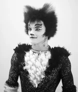Harry Francis | 'Cats' Musical Wiki | Fandom