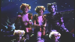 michael gruber munkustrap