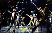 Drew Varley | 'Cats' Musical Wiki | Fandom